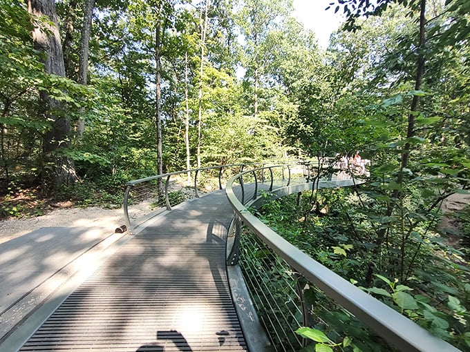 The modern boardwalk offers civilization's compromise with wilderness – all the views without having to explain to your chiropractor why you thought scrambling over boulders was a good idea.