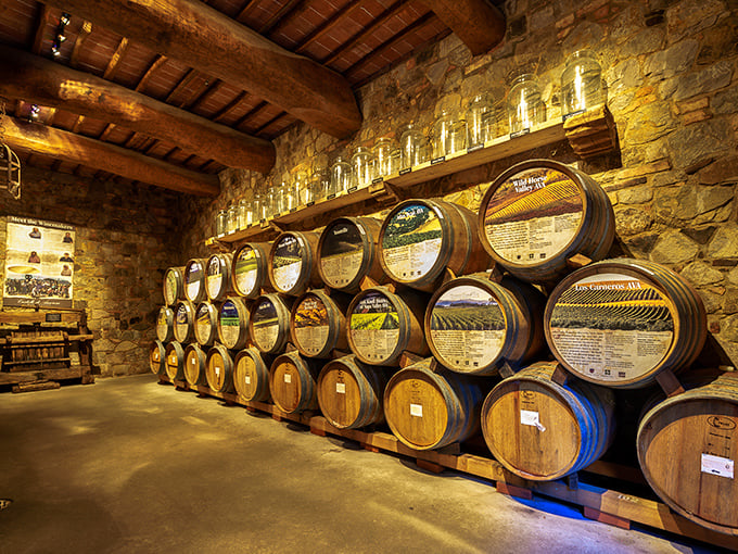 Wine barrels aging like fine Hollywood actors—getting better with time and developing complex character. The cool stone cellar provides perfect conditions for both wine and dramatic photos.