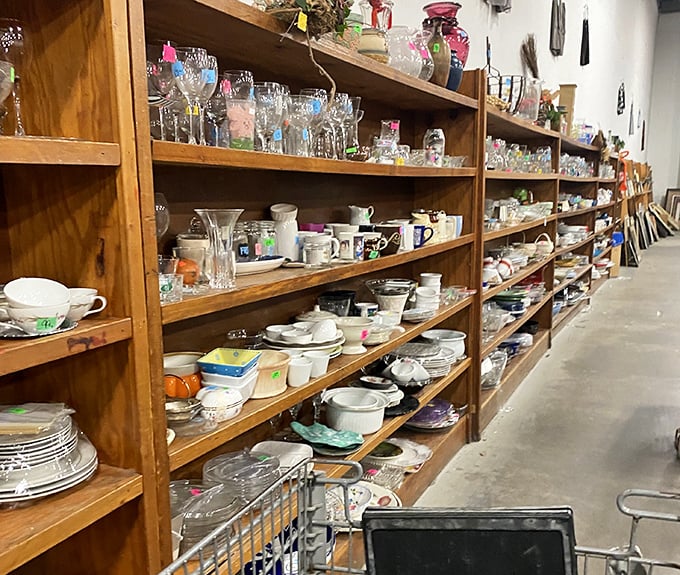 Shelves of dishes and glassware stand ready for adoption – each mug and bowl hoping for a second chance at mealtime stardom.
