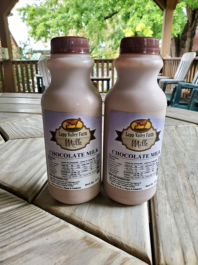 Behold, the chocolate milk that launched a thousand road trips. These bottles contain what might be Pennsylvania's most perfect expression of cocoa and cream.
