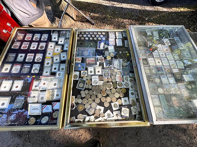 Numismatist nirvana! Gleaming coins and currency from across decades and borders, each with stories locked in their metal memories.