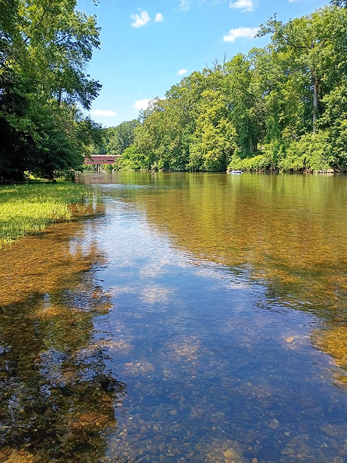 The crystal-clear waters of Brandywine Creek flow gently beneath the bridge, offering a tranquil soundtrack to your historical exploration.