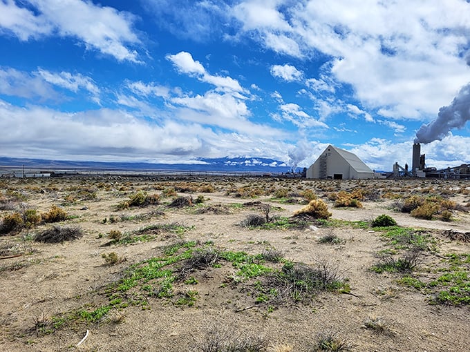 Where industry meets wilderness—the processing plant's plume rises like a flag against the vast desert sky, marking civilization's tenuous foothold.