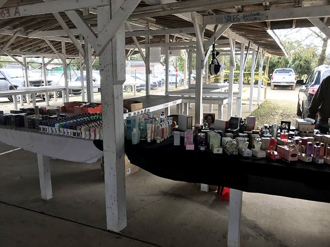 Perfume and beauty products lined up with military precision—because looking good and smelling nice shouldn't require taking out a second mortgage.