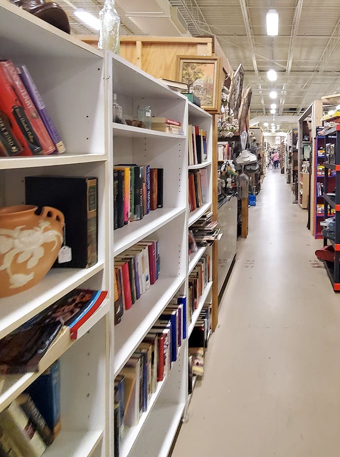 Literary heaven for bibliophiles! These shelves don't just hold books—they contain worlds, histories, and that distinctive old-paper smell that kindles joy.