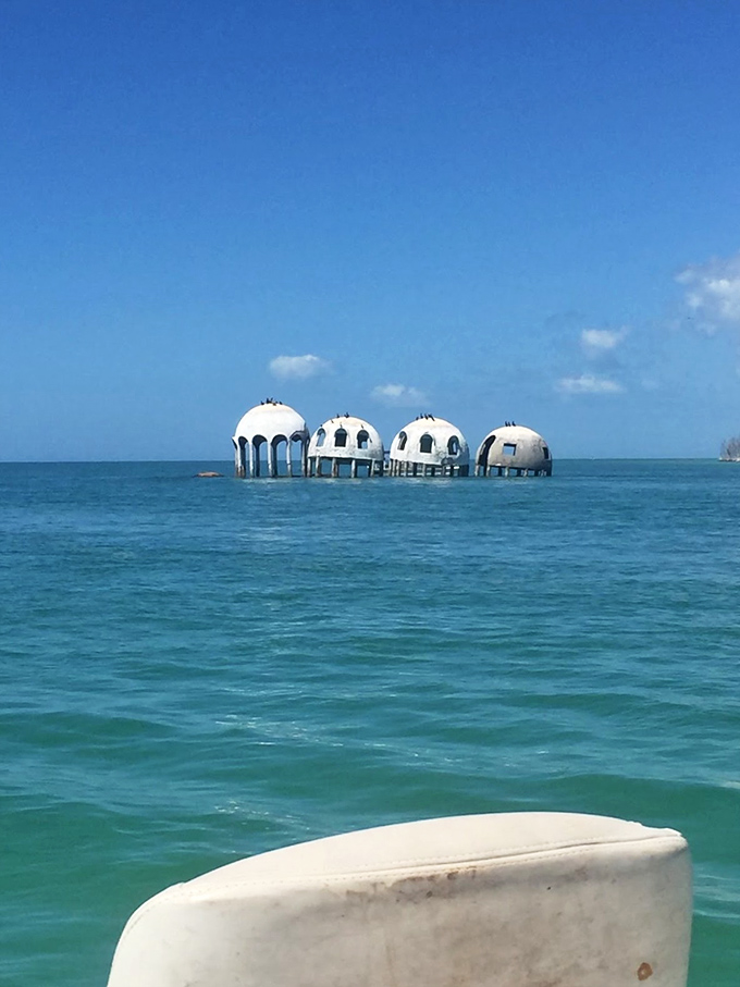 Against a perfect blue Florida sky, the domes appear almost like a mirage—a concrete constellation rising from the Gulf's turquoise canvas.