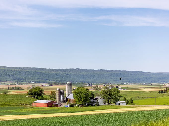 Not a painting, but real life—where silos stand like sentinels guarding fields that feed families rather than corporations.