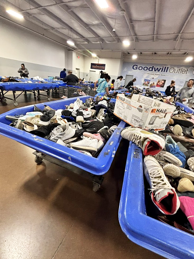Sneaker paradise where every sole tells a story, and comfort meets incredible bargain pricing.