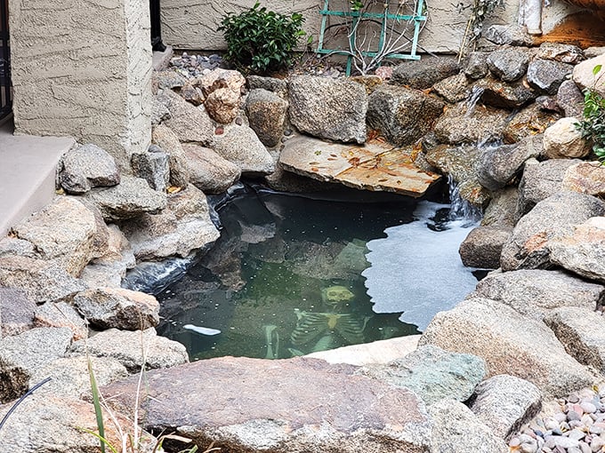 Nothing says "welcome to our haunted property" quite like a decorative pond with skeletal remains. Koi fish were clearly too mainstream. 