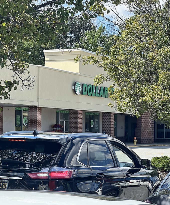 Nestled among leafy surroundings, this Dollar Tree outpost offers a refreshing contrast to high-end retail therapy.