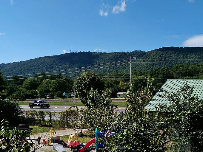 Those Tennessee hills aren't just pretty to look at; they're nature's rollercoaster backdrop for every season's dramatic color show.