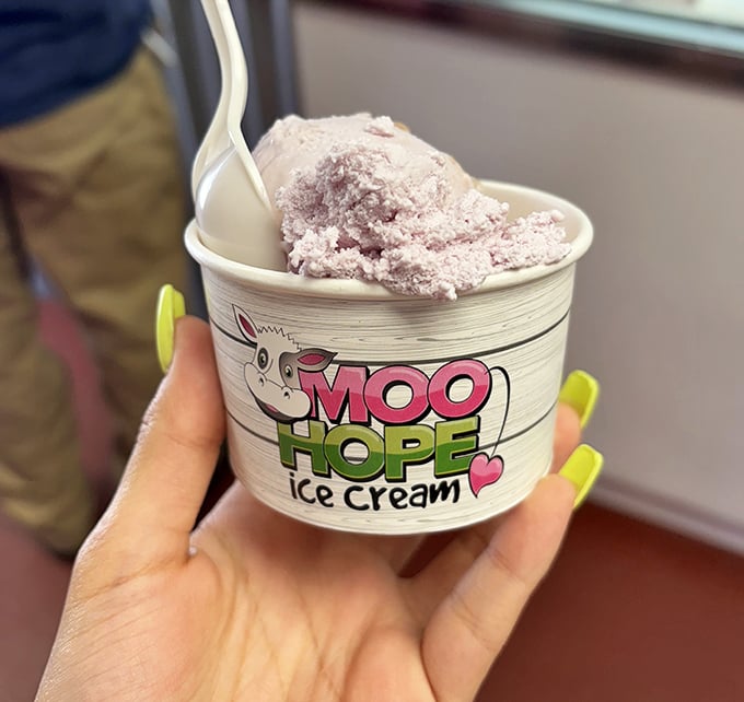 That perfect scoop of pink deliciousness in a branded cup—proof that sometimes the simplest pleasures are the most profound.
