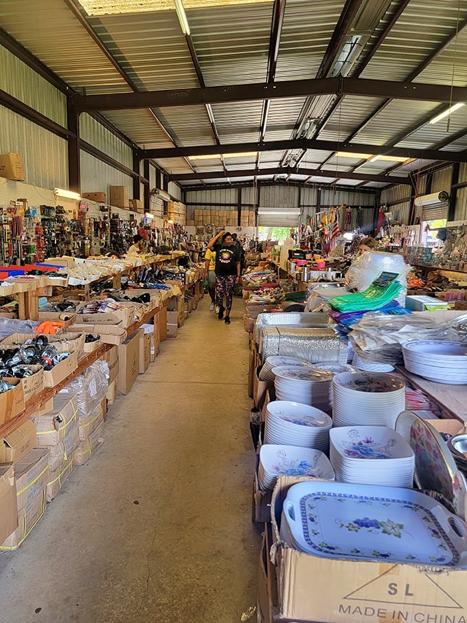 Organized chaos at its finest—where dishware dreams and household treasures await adoption. Every aisle tells a different story of American domesticity.