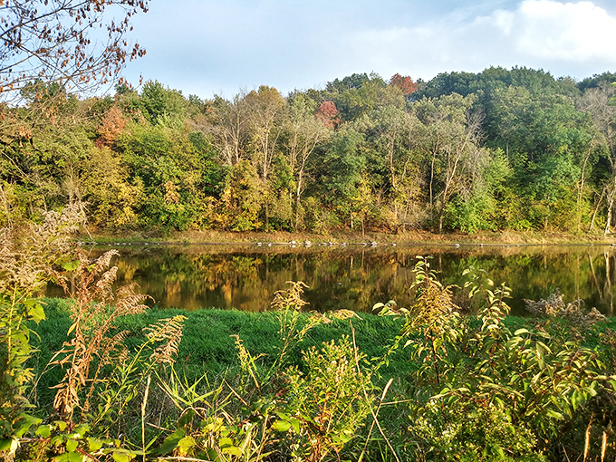 Where history meets horizon—this mound-dotted landscape once bustled with a thriving civilization long before Wisconsin was Wisconsin.