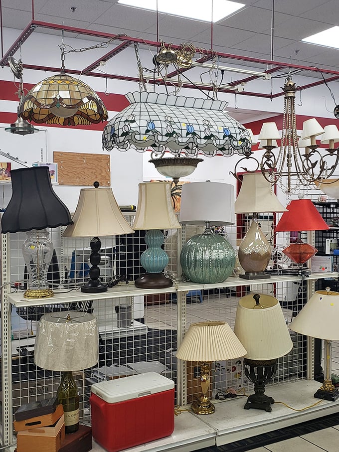 Tiffany-style stunners hang above an army of table lamps – illuminating possibilities from elegant to eclectic for every corner of your home.