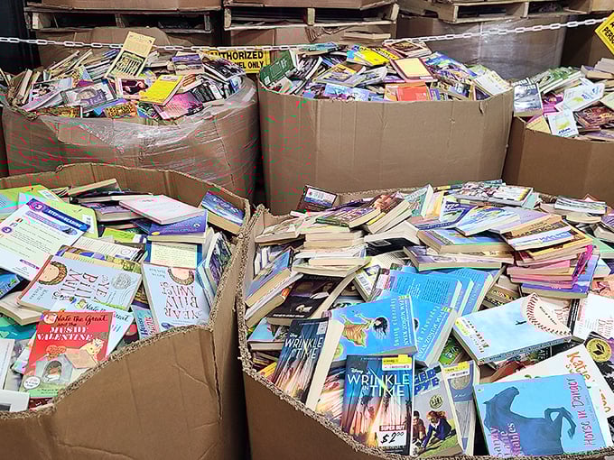 Literary treasure chests! These cardboard bins overflow with possibilities—spot "A Wrinkle in Time" peeking out, reminding us that adventures don't require batteries or Wi-Fi.