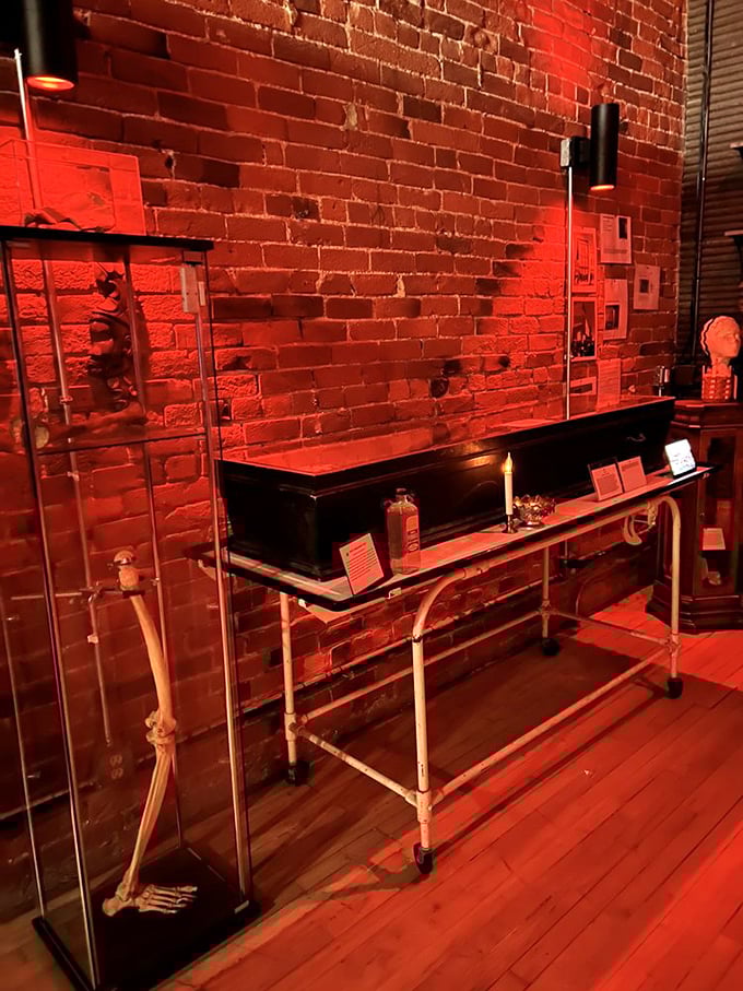 Medical oddities and skeletal remains stand sentinel in this macabre display. That gurney isn't just for show—it's seen things you wouldn't believe.