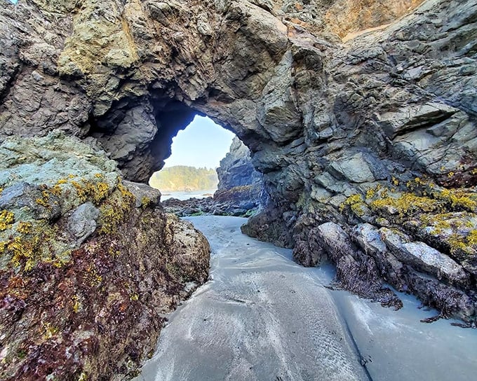 Nature's own architectural masterpiece, this sea arch frames the Pacific like a window to another world – no Instagram filter required.