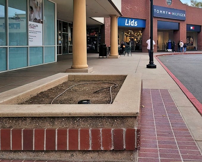 Nature meets retail therapy as lavender blooms frame the Gilroy Premium Outlets sign—a fragrant reminder you're in California, not just any outlet mall.