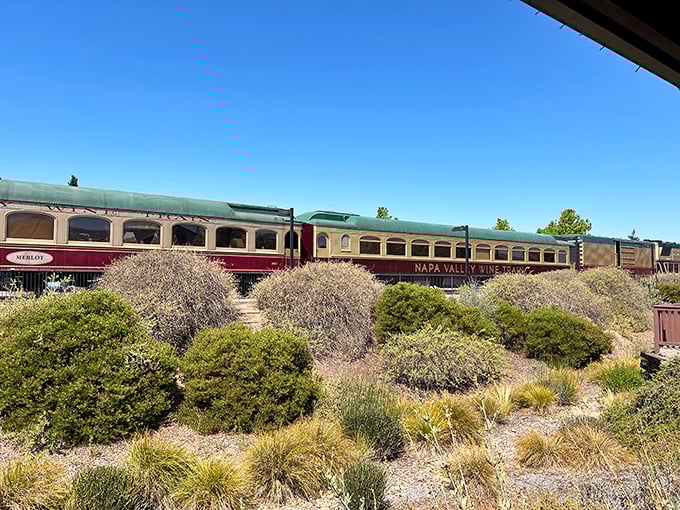 The Wine Train's classic cars bask in the California sunshine, looking like they're posing for a vintage postcard you'd send to make friends jealous.