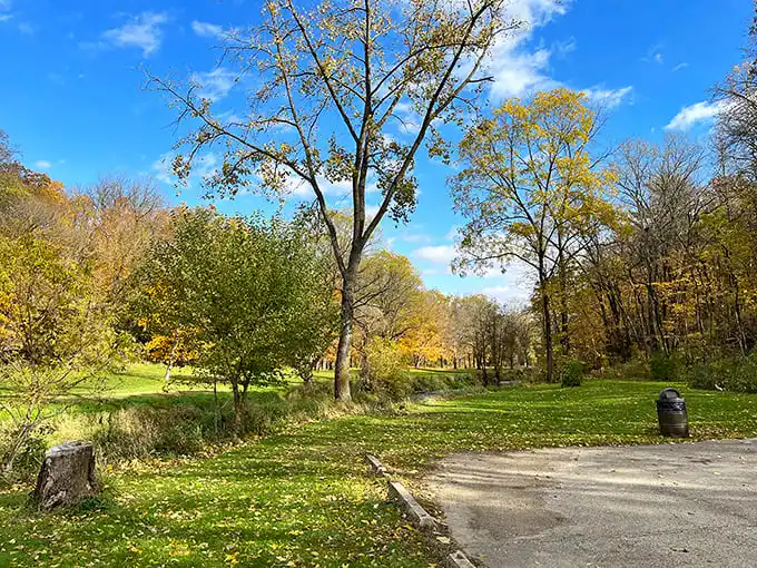 Fall's golden touch transforms the park into a painting that would make Bob Ross reach for his happy little trees.