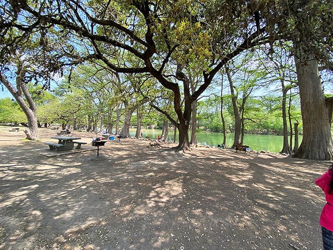 Ancient cypress trees stand guard over picnic tables that have hosted generations of Texas family reunions and first dates.