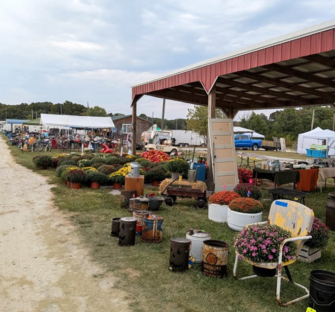 Fall's bounty explodes in vibrant mums and seasonal blooms, proving that Rutledge isn't just about antiques—it's a gardener's playground too.