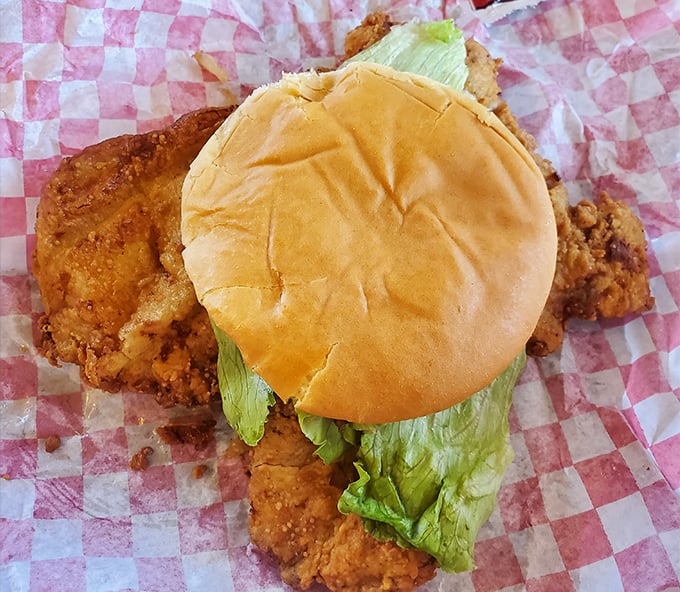The breaded tenderloin—Indiana's unofficial state sandwich—spills gloriously beyond its bun boundaries in a delicious act of midwestern defiance.