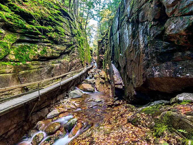 Where water and stone have been locked in a slow dance for millennia. The Flume's narrow passage feels like stepping into Earth's private art gallery.