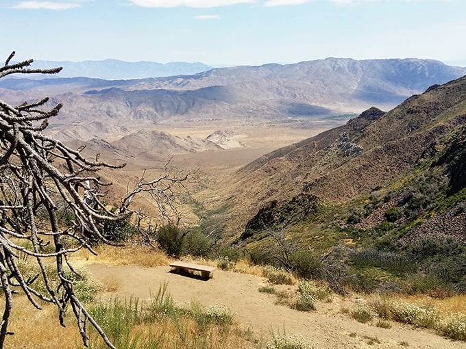 Mother Nature showing off her dramatic side. This desert panorama stretches so far you half expect Road Runner to zip across the horizon.
