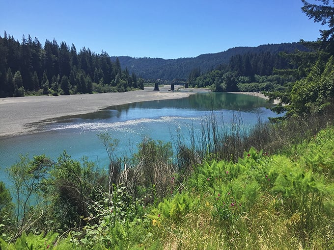The Eel River carves its path through emerald forests, offering summer swimmers a refreshing respite from California's inland heat.