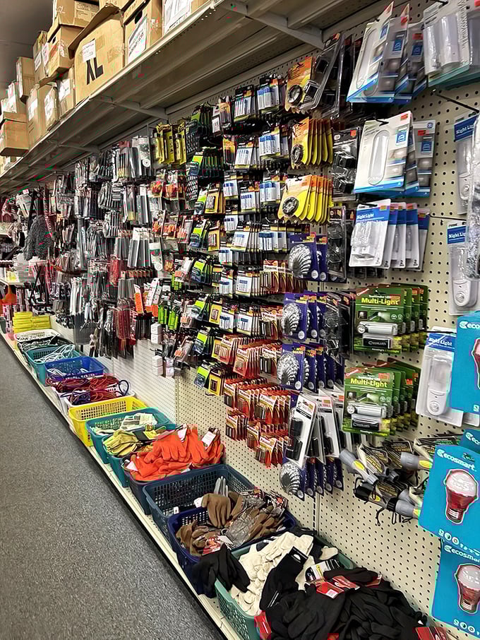 A hardware hunter's paradise where every gadget, gizmo, and doohickey imaginable hangs in organized chaos—like my grandfather's workshop, but with price tags.