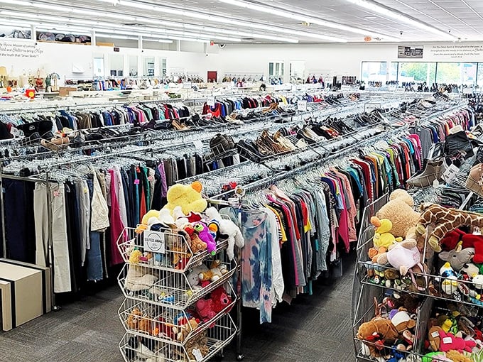 This isn't a store – it's a carefully organized treasure map where X marks every single spot.