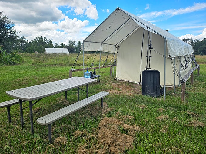 Glamping goes rustic with these canvas accommodations. Like a five-star hotel where your neighbors are songbirds and your ceiling is an endless Florida sky.