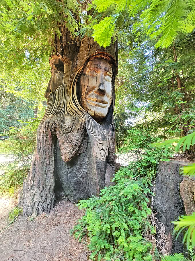 This hauntingly beautiful wooden face carving emerges from the redwood trunk like a forest spirit keeping watch over visitors.