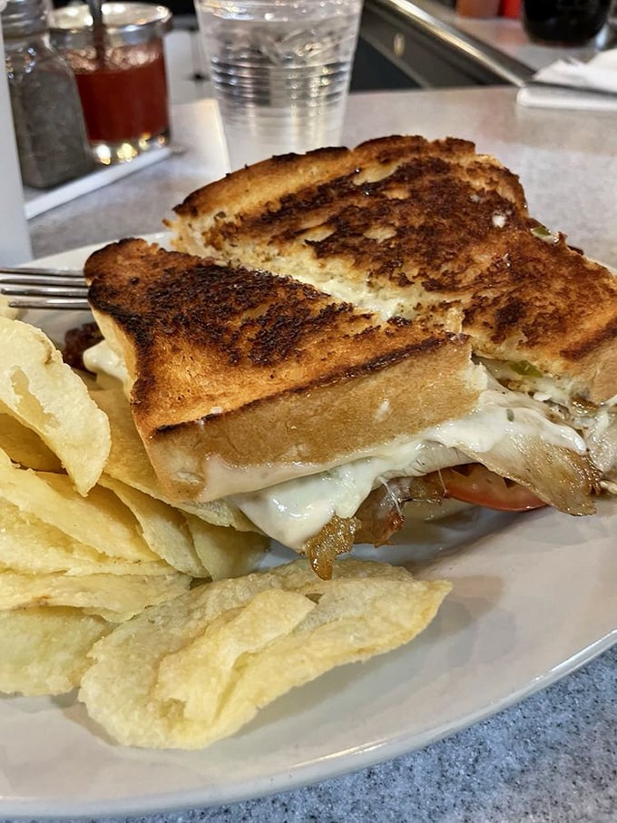 This turkey melt doesn't need Instagram filters—golden, crispy bread barely containing the melty cheese rebellion within. Worth every napkin.