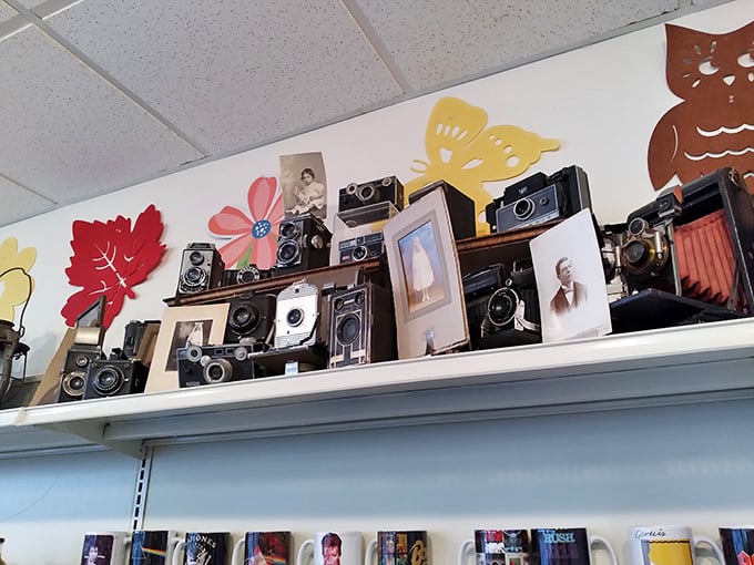 This vintage camera display offers a nostalgic pause between purchases—a clever reminder of memories made before smartphones ruled our lives.