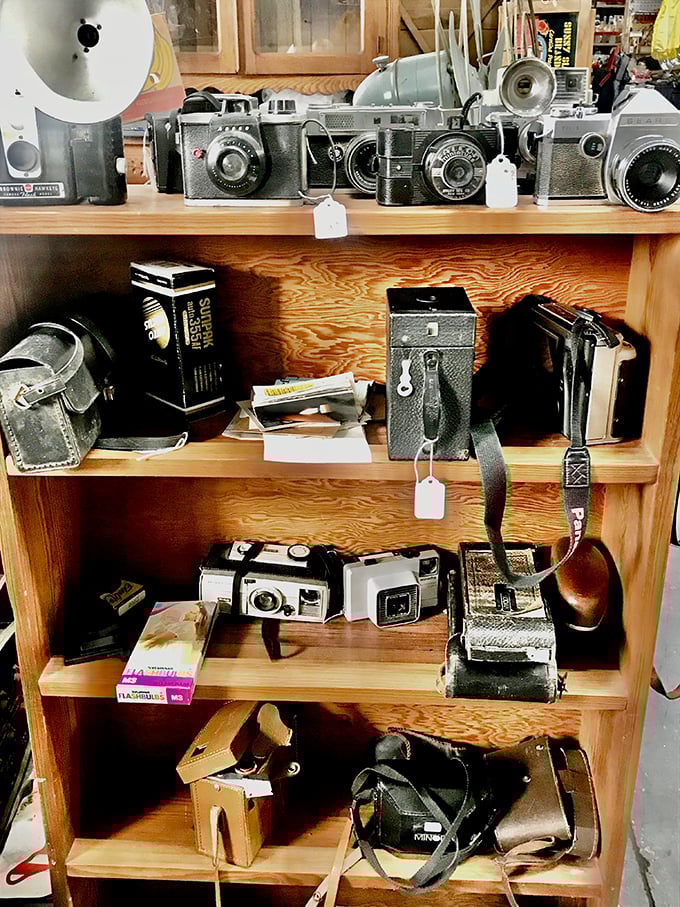 Before selfies and smartphones, these mechanical marvels captured memories on film. Each camera represents thousands of forgotten moments.