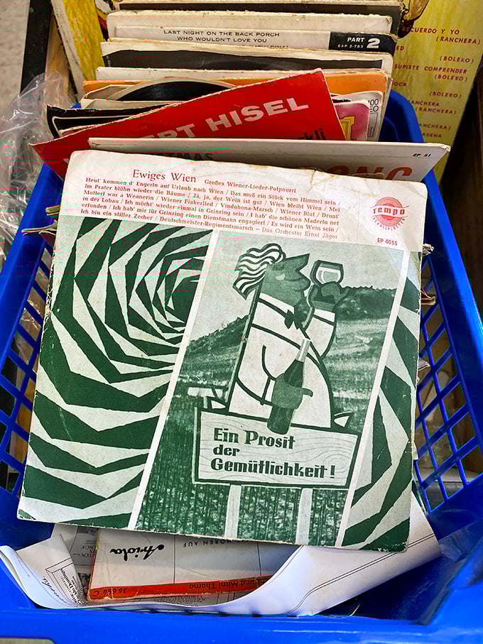 Vinyl treasures await the patient hunter. That German record might contain the soundtrack to someone's forgotten vacation memories or your next dinner party playlist.