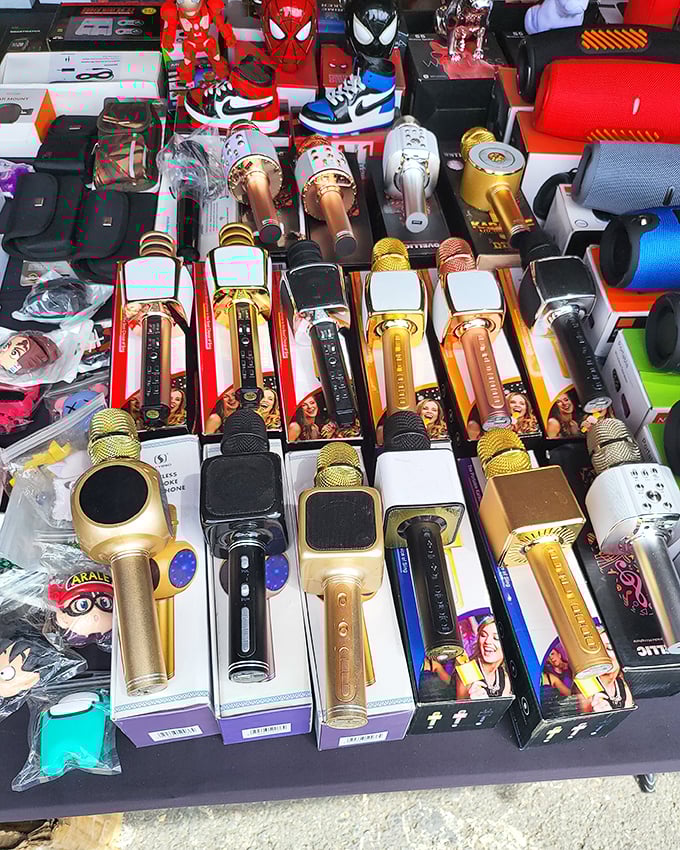 Karaoke dreams come true! These microphones transform shower singers into living room superstars faster than you can say "Don't Stop Believin'."