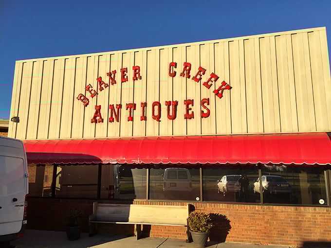 The golden exterior practically glows with promise - like finding Fort Knox for vintage lovers everywhere.