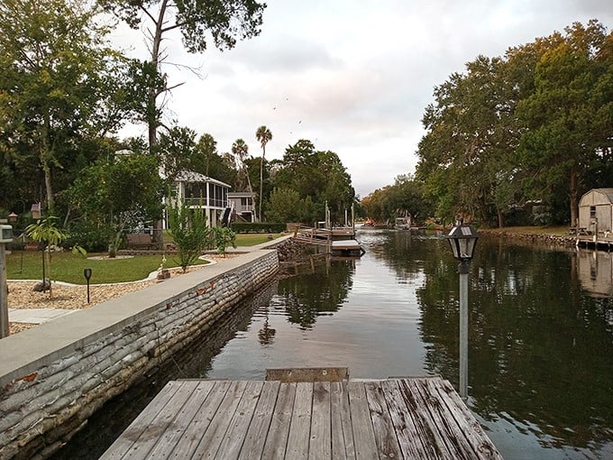 Crystal River's canals offer front-row seats to Florida's natural wonders – no special effects needed for this water show!