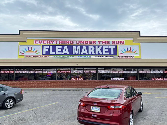 "Everything Under The Sun" isn't just a name—it's a promise. This North Myrtle Beach institution delivers with sunny enthusiasm.