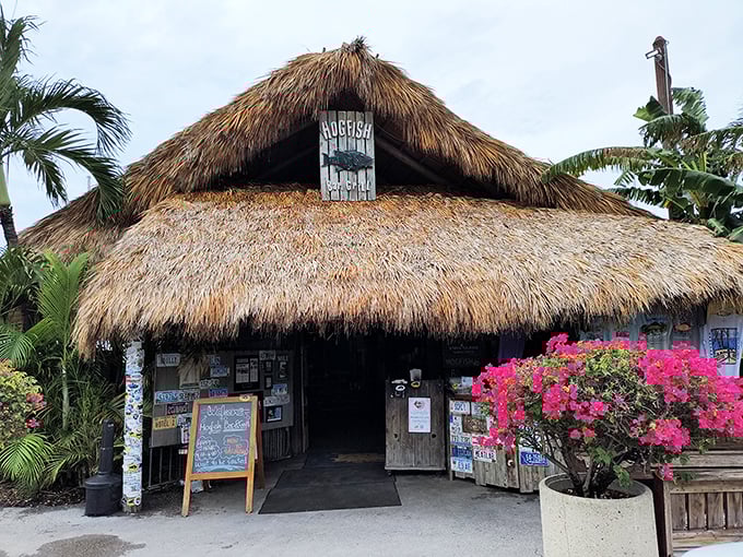 Hogfish Bar's thatched roof paradise looks like it was designed by a castaway with excellent taste in both architecture and seafood.