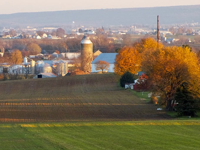 Golden hour transforms this farming community into a Hallmark movie set, complete with silos standing like sentinels against autumn skies.