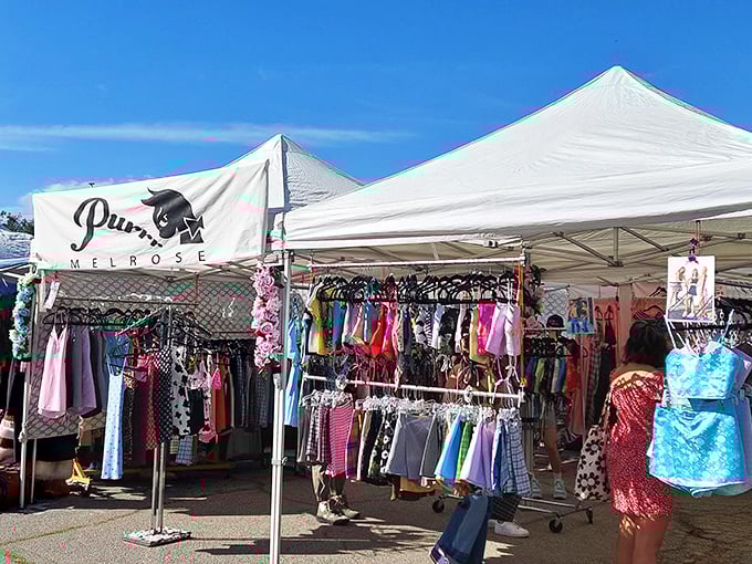 Designer clothing racks flutter in the breeze like fashionable flags marking territory for style hunters.