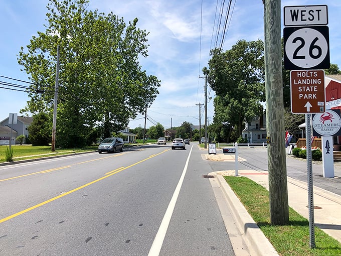 Millville's tree-lined roads create natural canopies that make every drive feel like a scenic adventure.