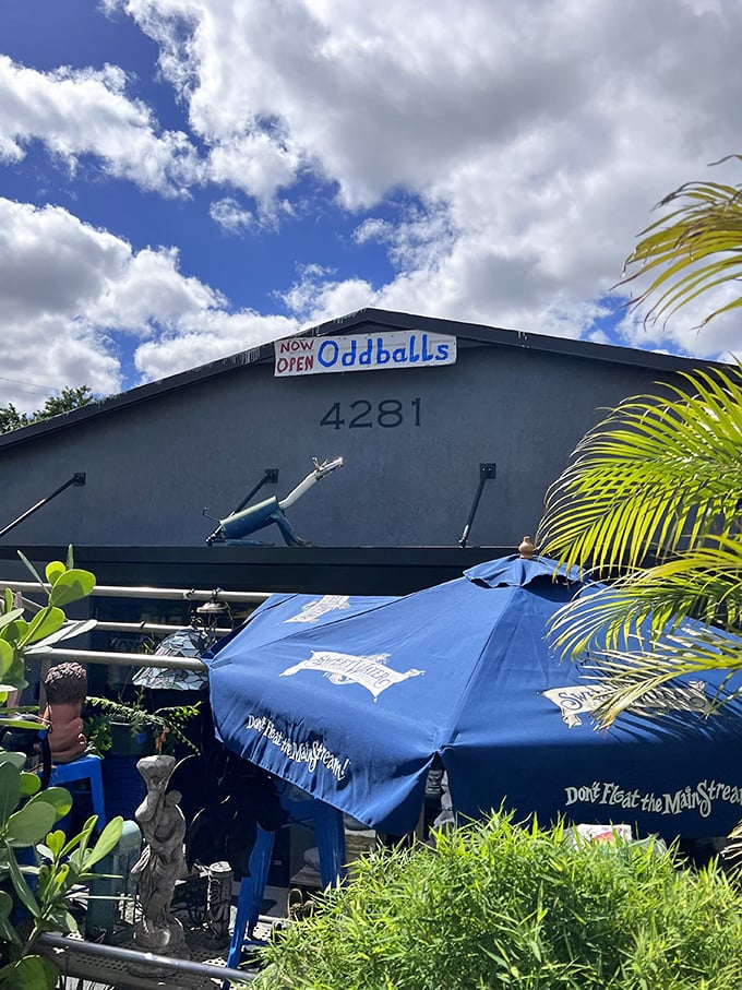 OddBalls lives up to its quirky name! That blue umbrella hints at the colorful treasures waiting inside this thrifter's playground.