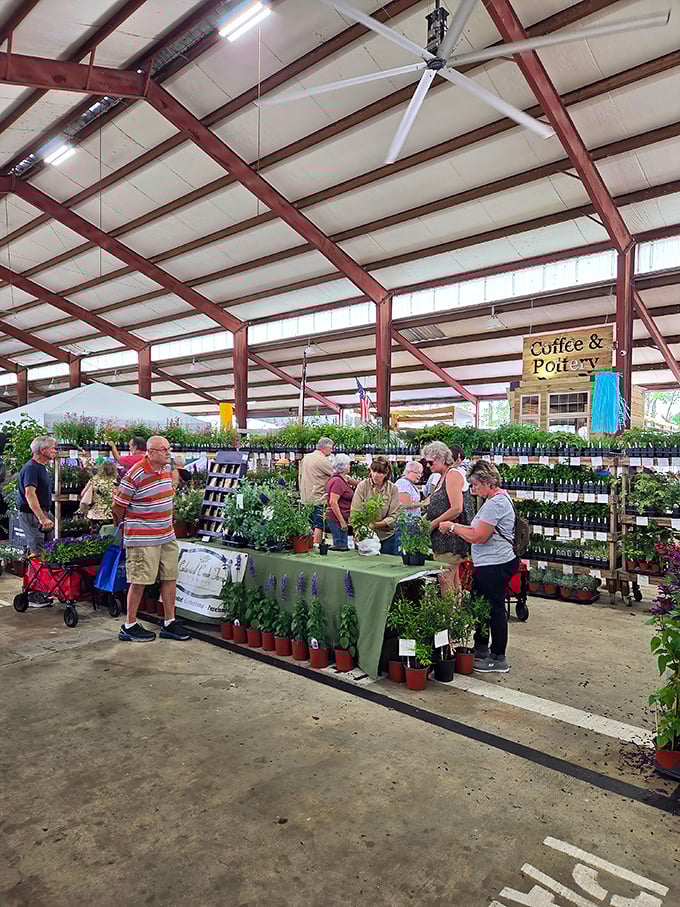 Pee Dee State Farmers Market offers the perfect blend of fresh produce and flea market finds under one roof.