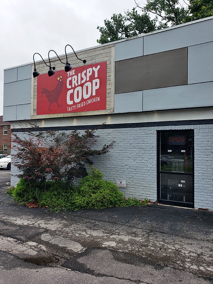 The Crispy Coop's modern look promises old-fashioned flavor – sometimes evolution tastes absolutely perfect. 